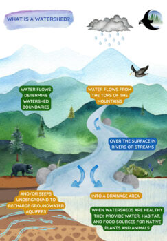 Watersheds and Our Water Supply – Sunshine Coast Conservation Association